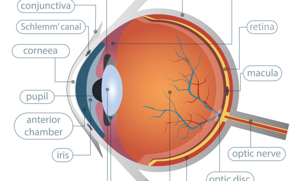 Troubleshooting Ortho-K - Review of Myopia Management